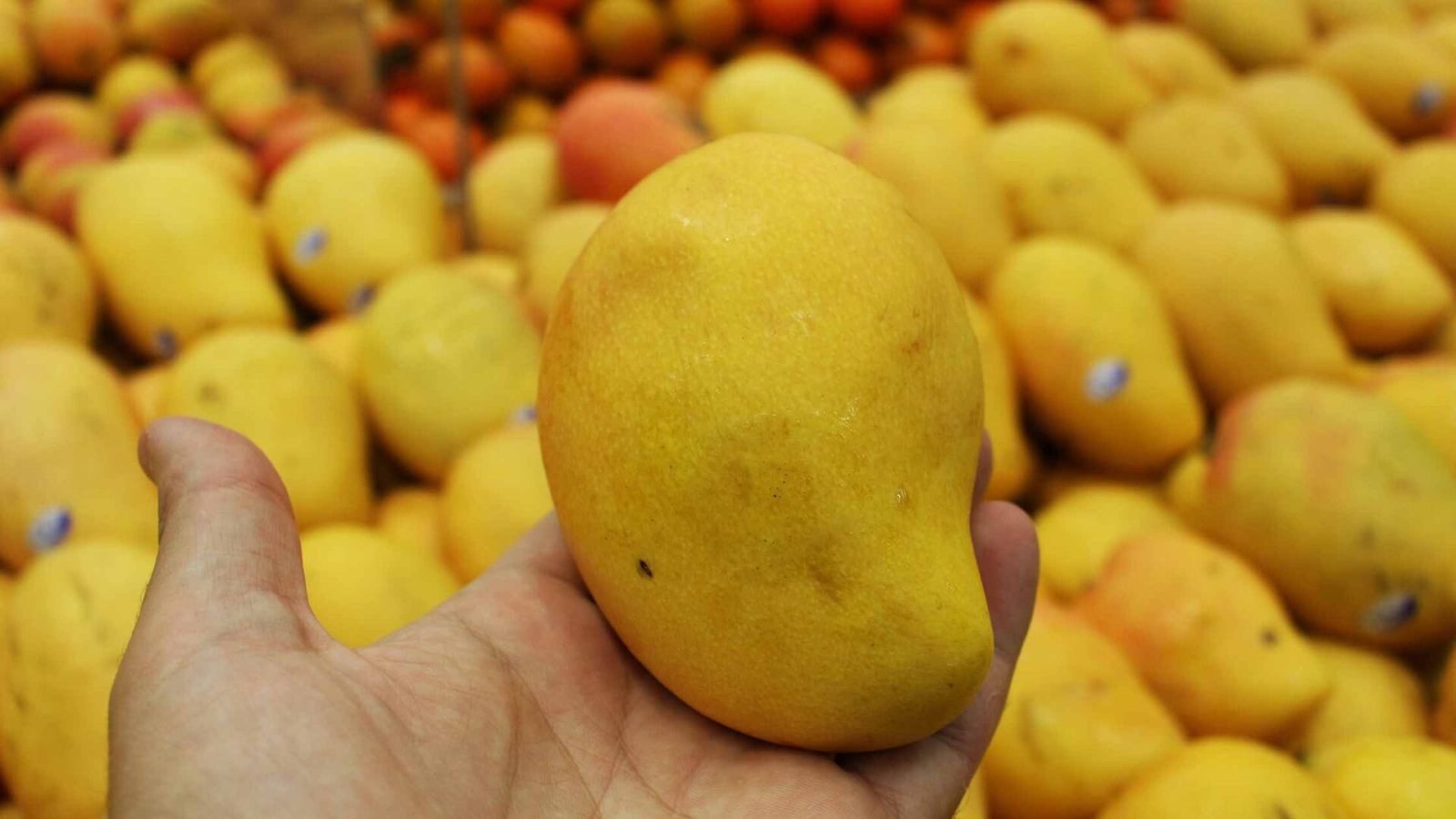 “Pure Luxury on a Plate: Discover the 10 Most Expensive Mangoes in the ...